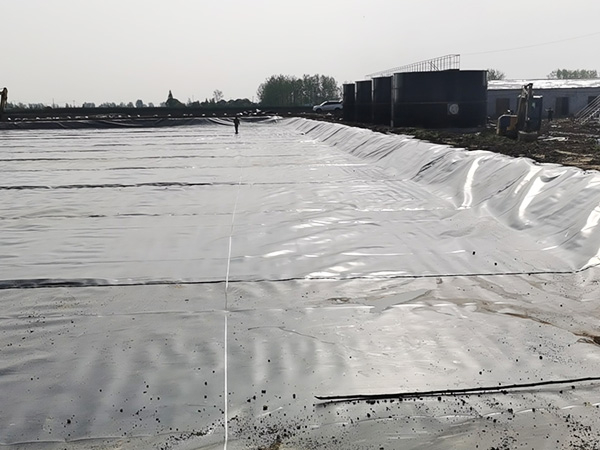 HDPE geomembrane, Geotextile, geosynthetic clay liner Manufacturer ...